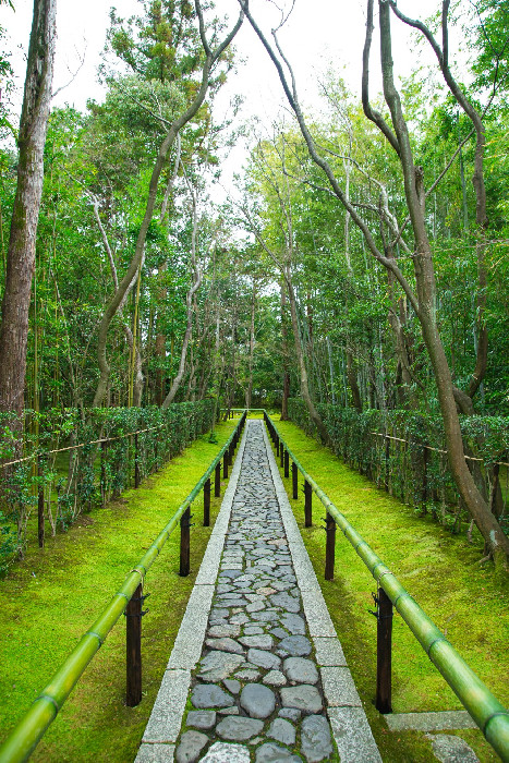 First Dhyāna Heaven :: Buddha library